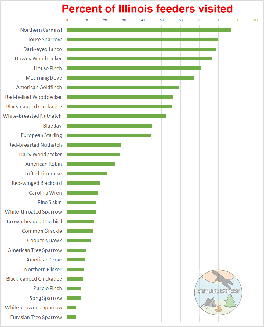 30 most common backyard birds of Illinois 2024! – Outlife Expert