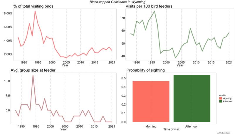 Backyard birds in Wyoming (photos, lists and trends!) – Outlife Expert
