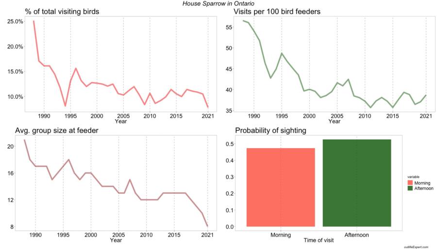 30 Most Common Backyard Birds Of Ontario In 2024! – Outlife Expert