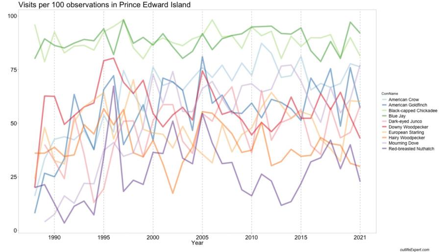 Most common backyard birds of Prince Edward Island – Outlife Expert
